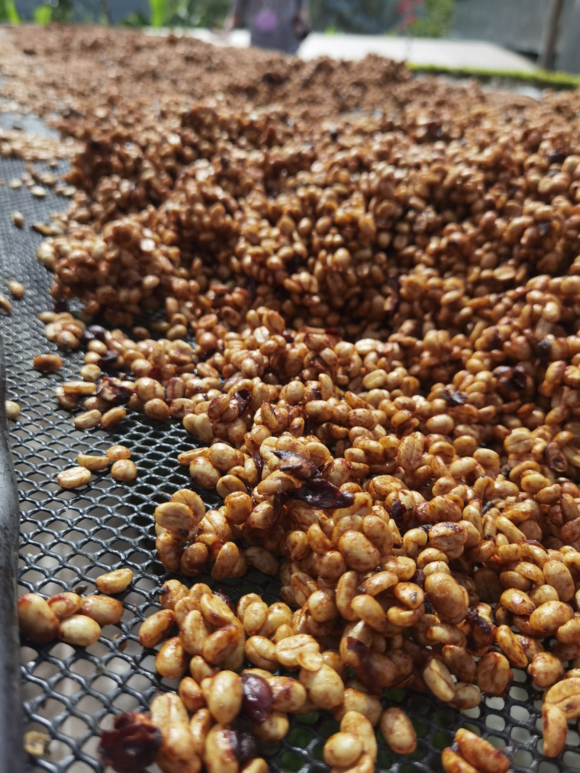 Don Senel Micromill Obata Honey - Ally Coffee