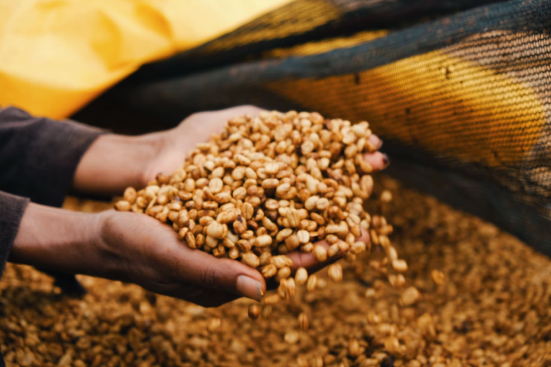 Yirgacheffe – Gerse – Natural – Grade 1 - Ally Coffee