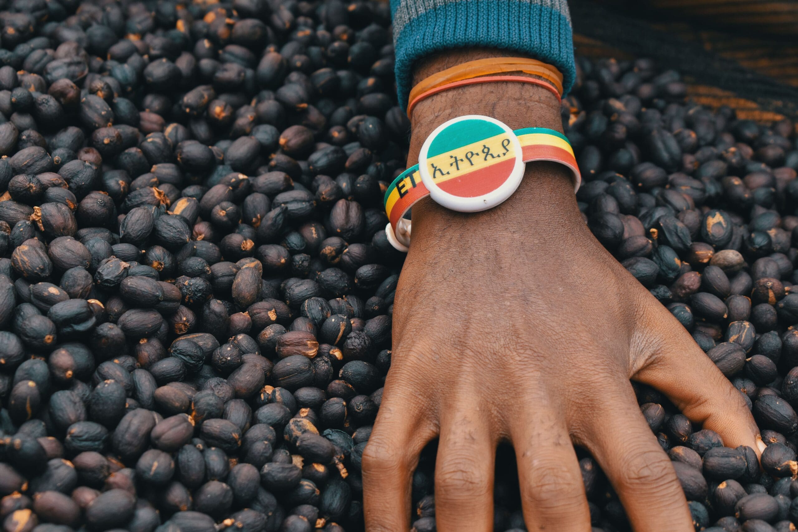 Bekele Kachara – Single Farm Murago – Natural - Ally Coffee