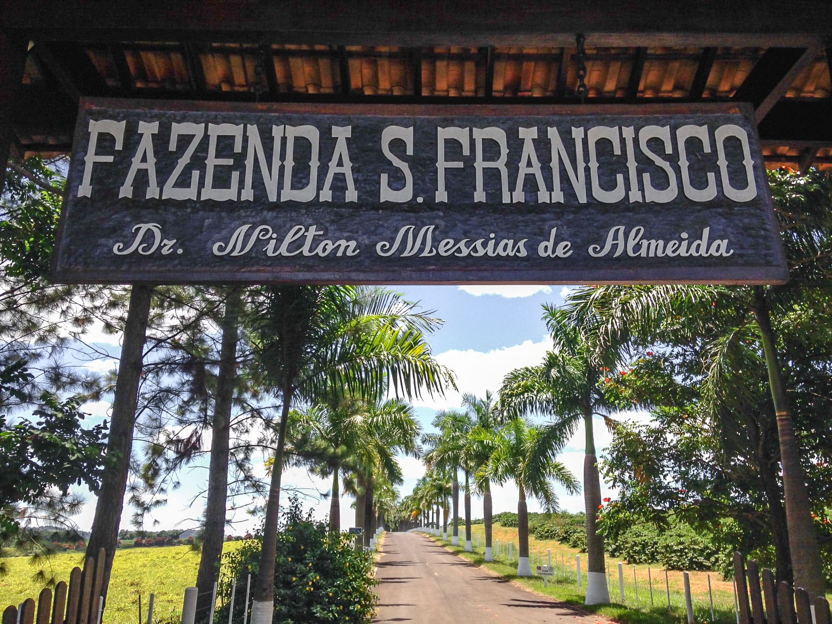 Fazenda São Francisco - Ally Coffee