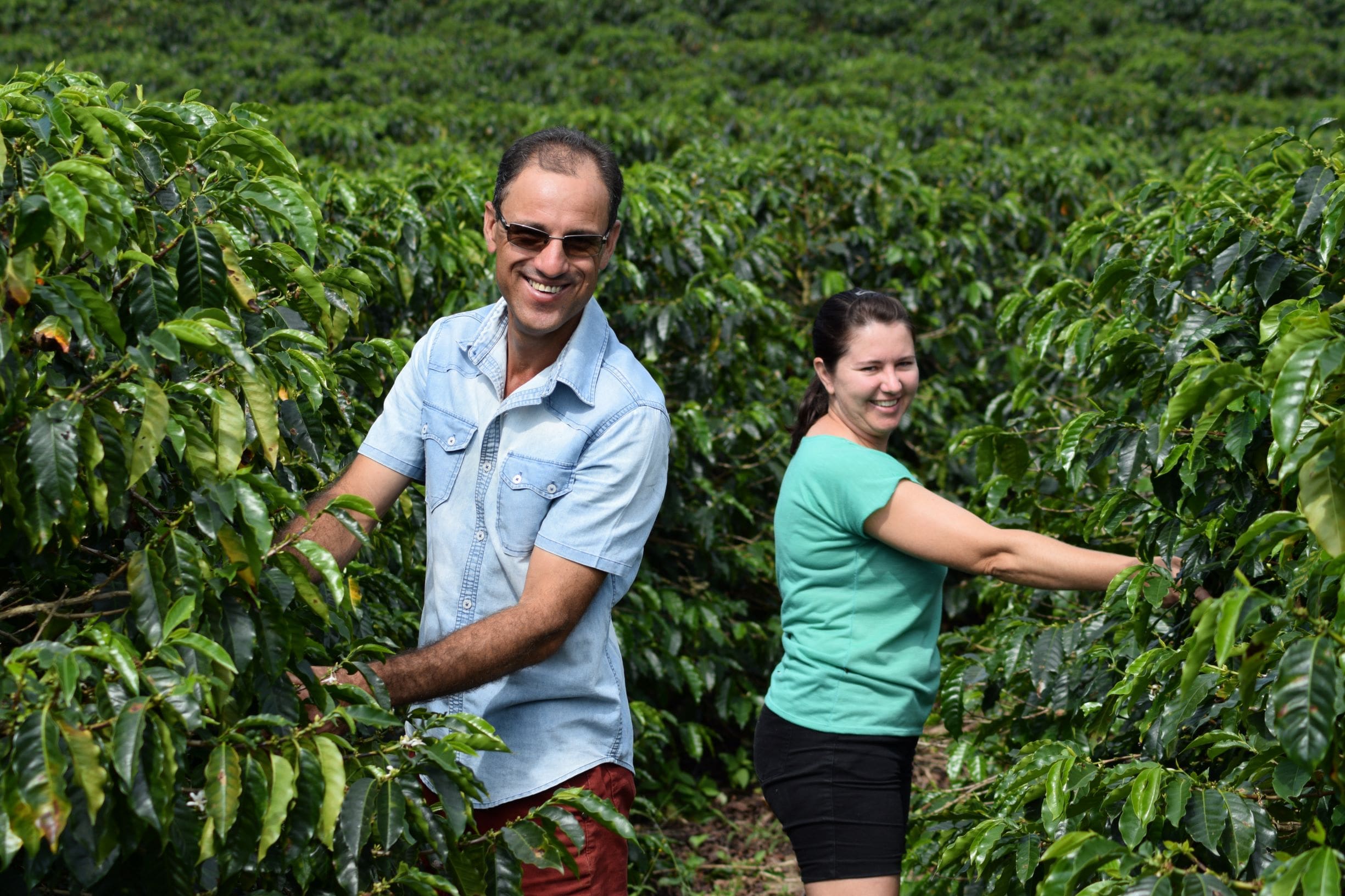 Sitio Rancho Dantas - Ally Coffee