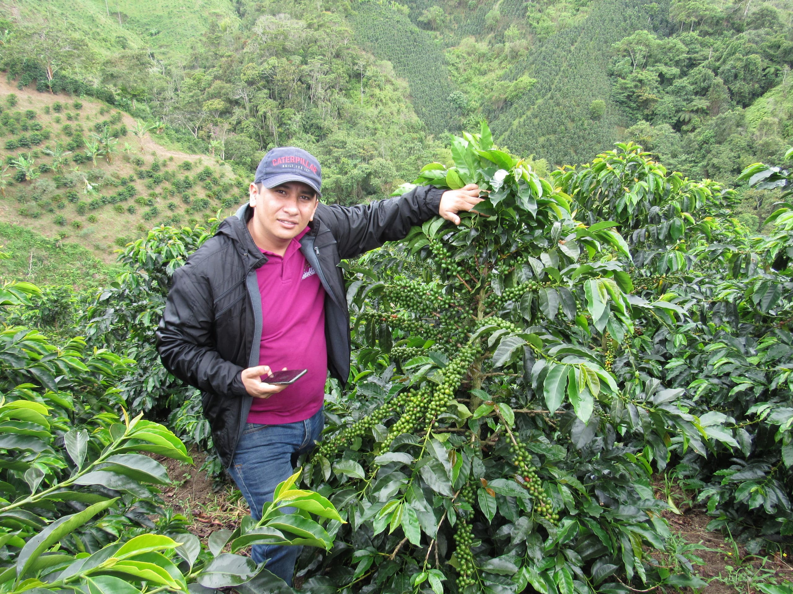 Monteblanco Caturra Washed - Ally Coffee
