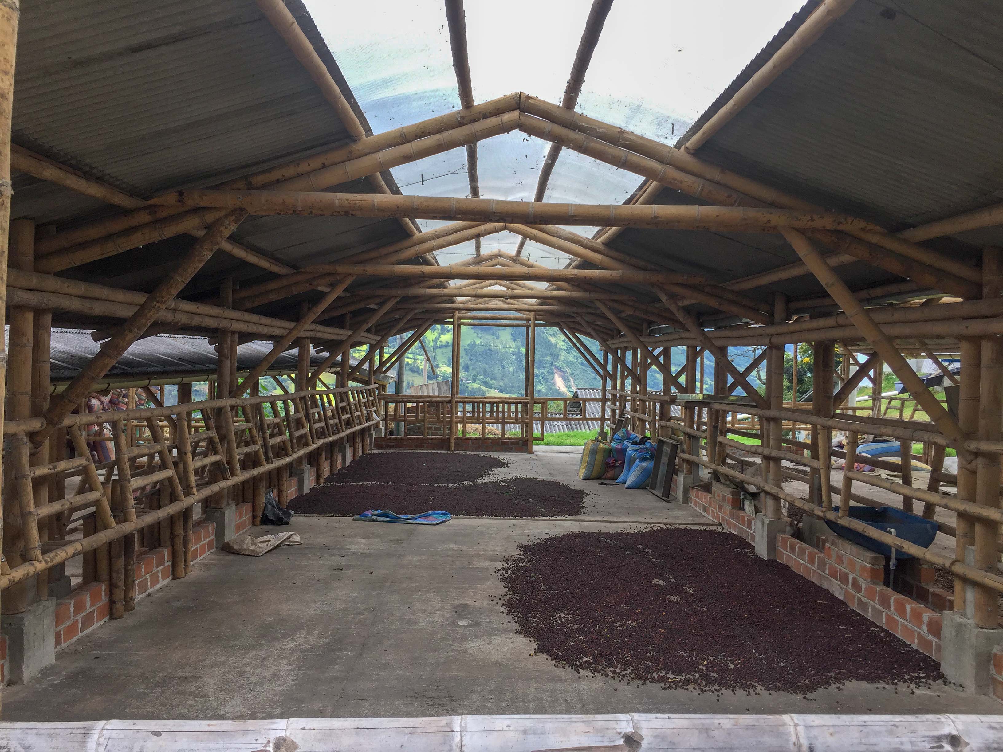 El Obraje Caturra Natural - Ally Coffee