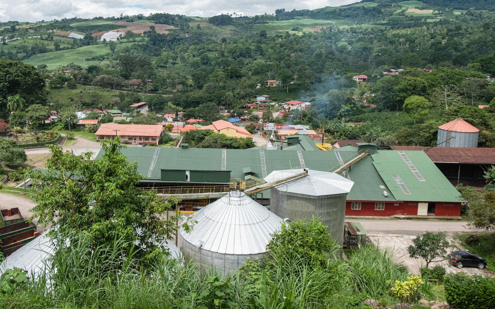 Aquiares Mariana Thermic Anaerobic Natural - Ally Coffee