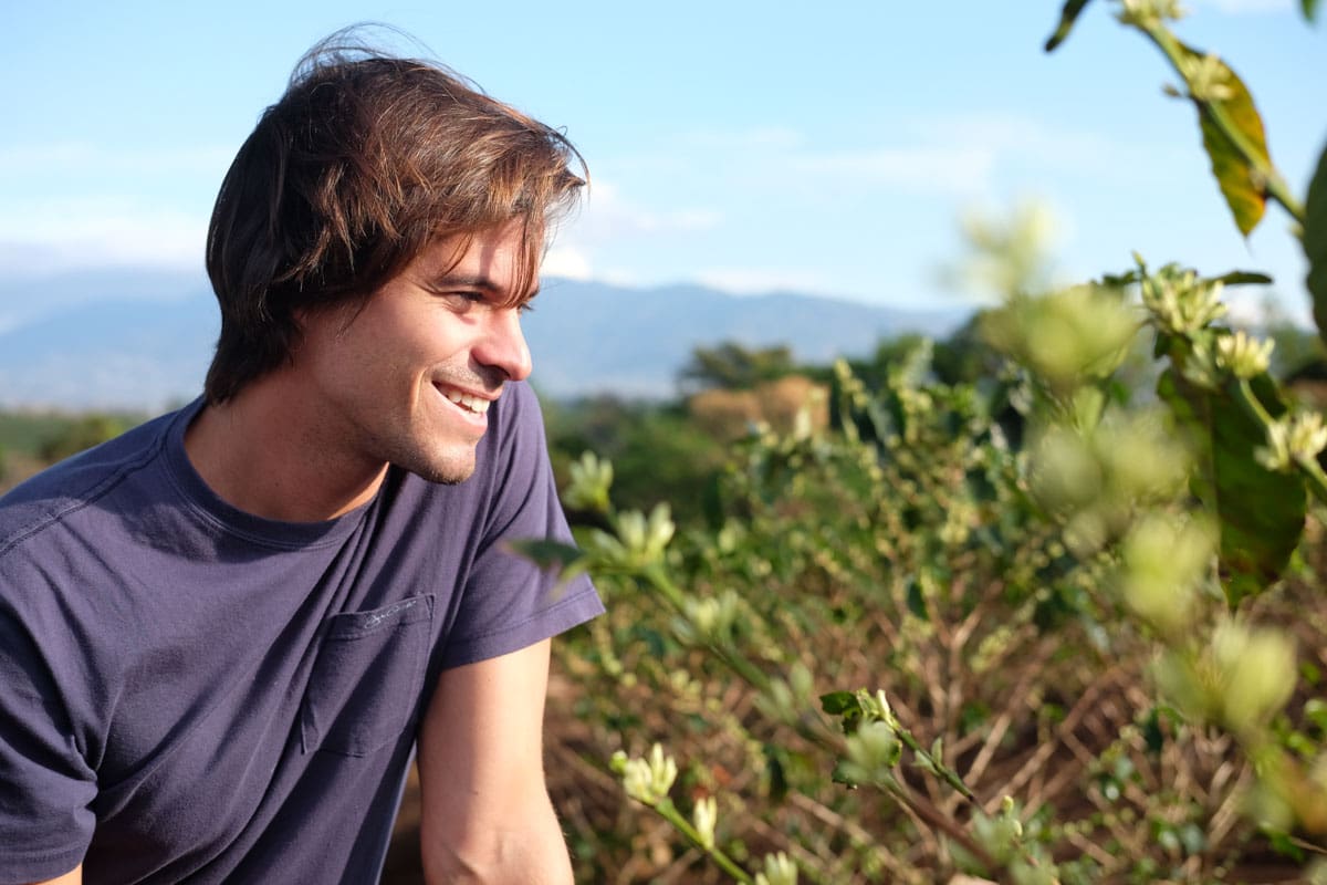 Hacienda Sonora Obata Natural - Ally Coffee