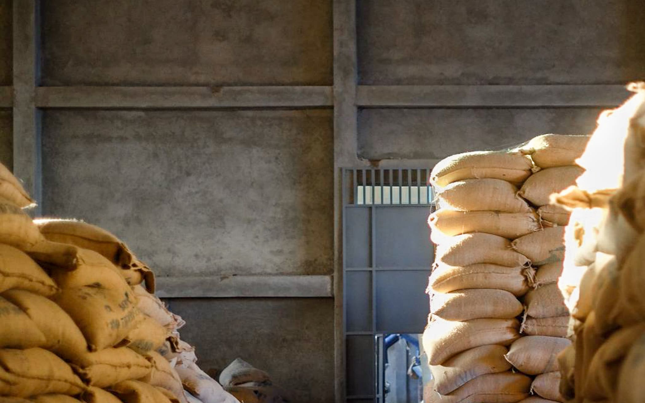 Aricha Washed - Ally Coffee